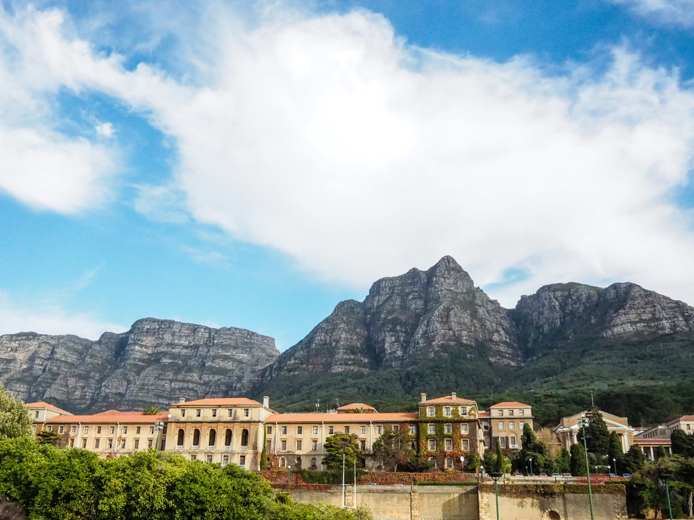 Blog | The Third Chapter Project, Inc.